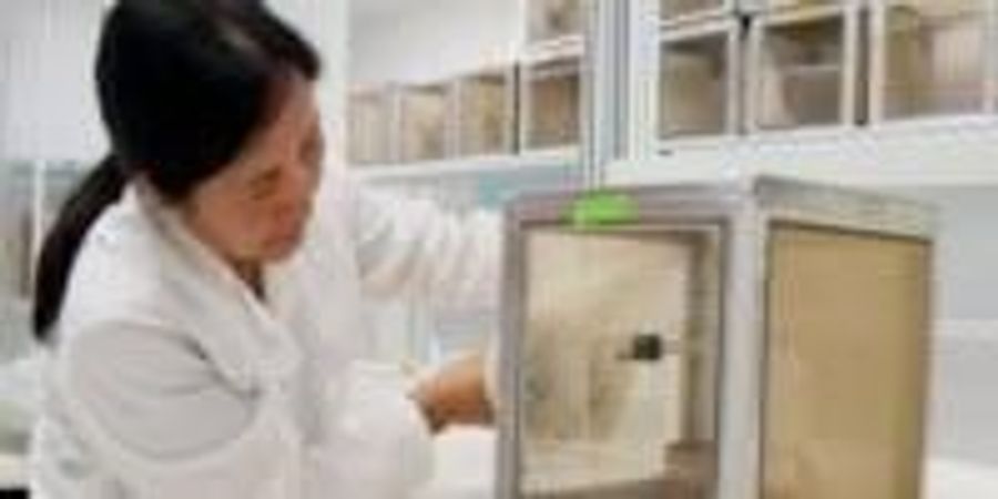 Universities Make Huge Zika Research Breakthroughs | Lab Manager