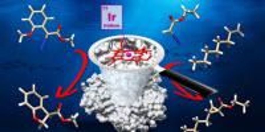 How Scientists are Getting Closer to Creating Bionic Enzymes | Lab Manager How Scientists are Getting Closer to Creating Bionic Enzymes | Lab Manager