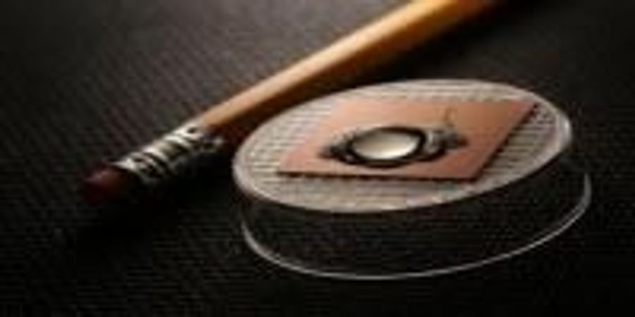 Engineers Develop a New Biosensor Chip for Detecting DNA Mutations ...