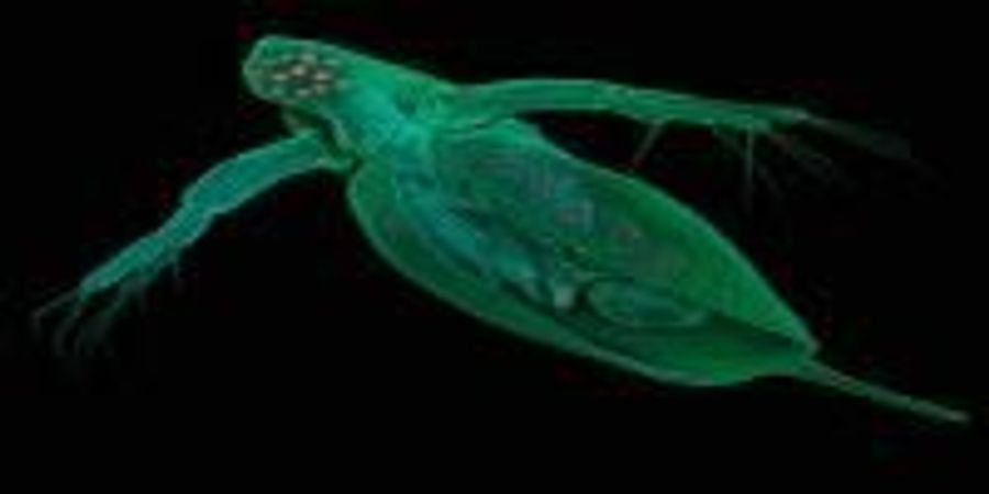 How 'Super Organisms' Evolve in Response to Toxic Environments | Lab ...