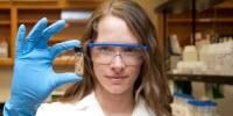 Scientists Look to Reduce Arsenic Levels in Rice | Lab Manager