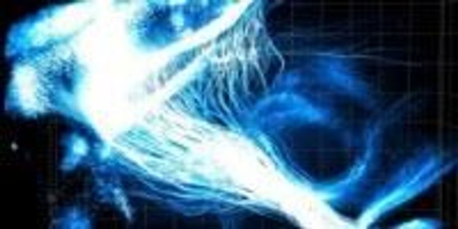 Research Shows That Different Brain Cells Process Positive and Negative ...