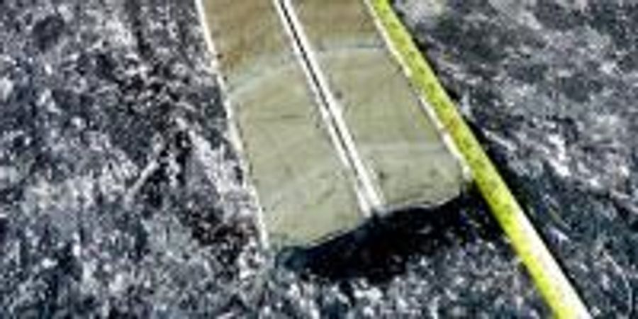 A History of Snowfall on Greenland, Hidden in Ancient Leaf Waxes | Lab ...