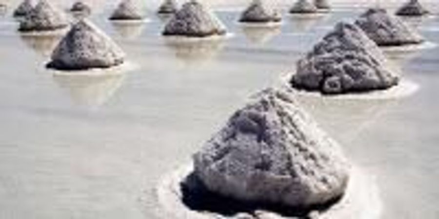 Low Salt Diets Not Beneficial: Global Study Finds | Lab Manager