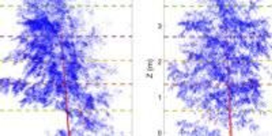How Do Trees Go to Sleep? | Lab Manager
