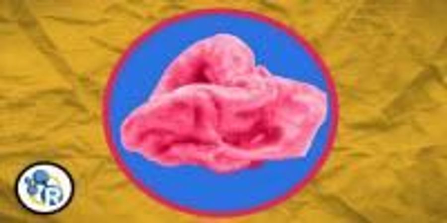 What Happens When You Swallow Gum? (Video) | Lab Manager