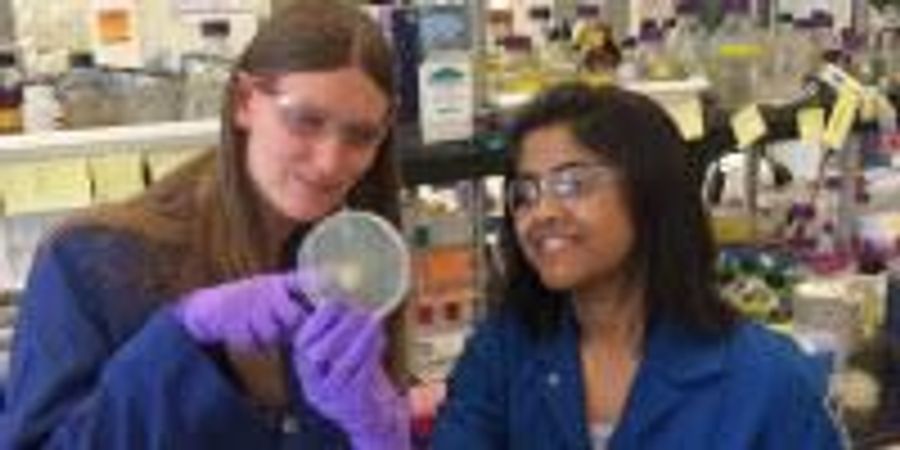 Scientists Brew Jet Fuel in One-Pot Recipe | Lab Manager