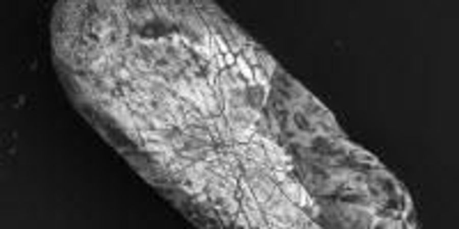 Scientists Reveal Origin of Earth’s Oldest Crystals | Lab Manager