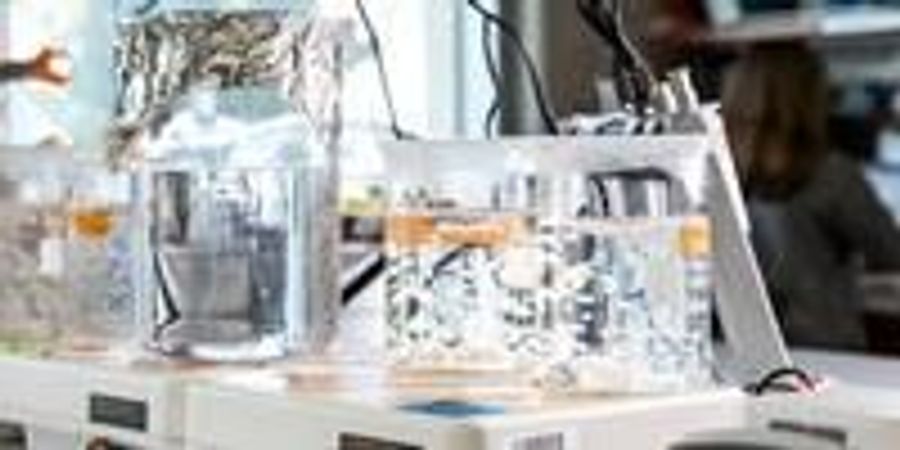 FDA Phase 1 Trial Shows Hydrogel to Repair Heart Is Safe to Inject in ...