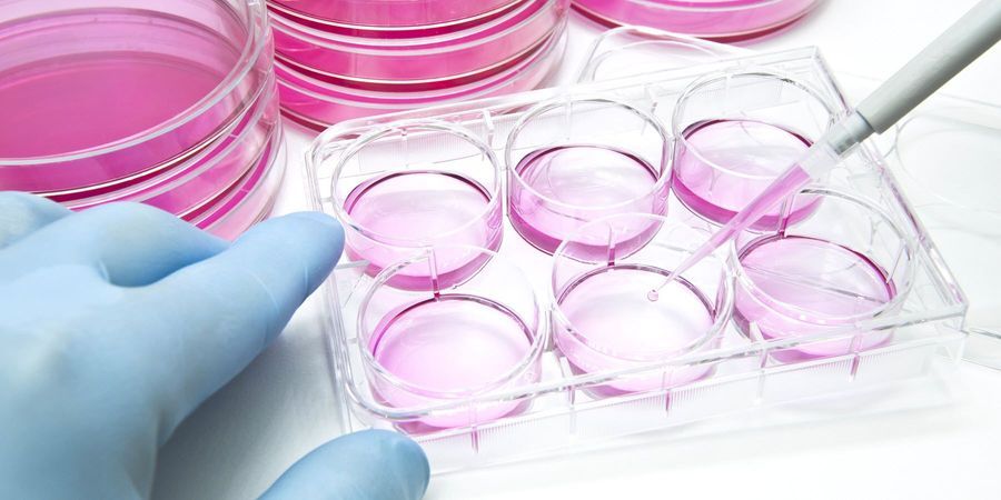 Ensuring Reproducible Data in Life Science Laboratories | Big Picture ...