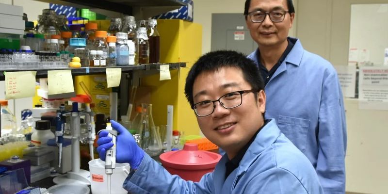 New Additive Process Can Make Better—and Greener—High-Value Chemicals ...