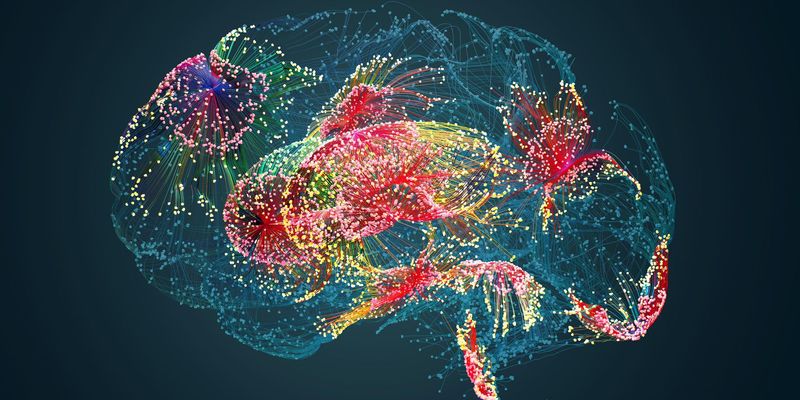 A Brain Fingerprint: Study Uncovers Unique Brain Plasticity in People Born Blind | Lab Manager