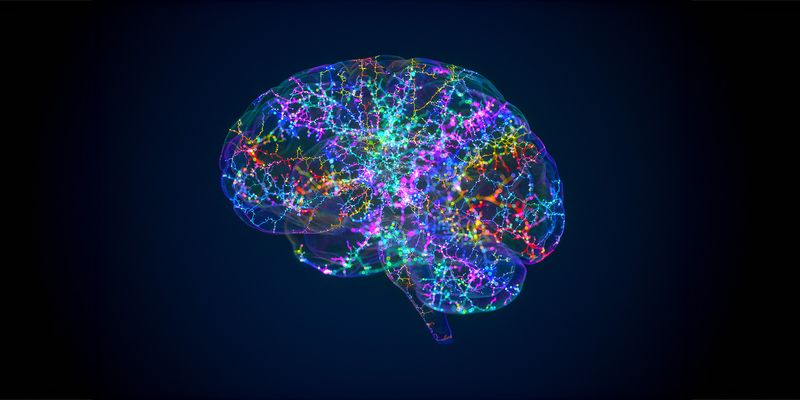 Exploring How Psychedelics Affect Neurons | Lab Manager