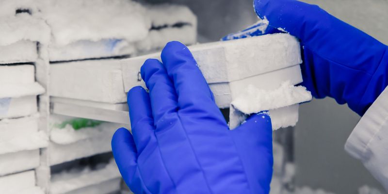 Everything You Want to Know about Ultralow Cold Storage | Big Picture ...