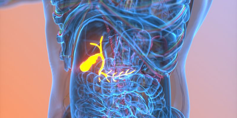 Are All Gall Bladder Surgeries Necessary? | Lab Manager