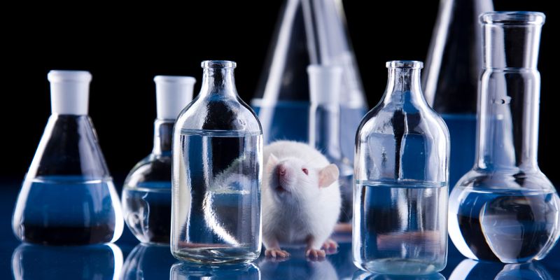 How a Doritos Dye Turned Mouse Skin Transparent: Breakthroughs in ...