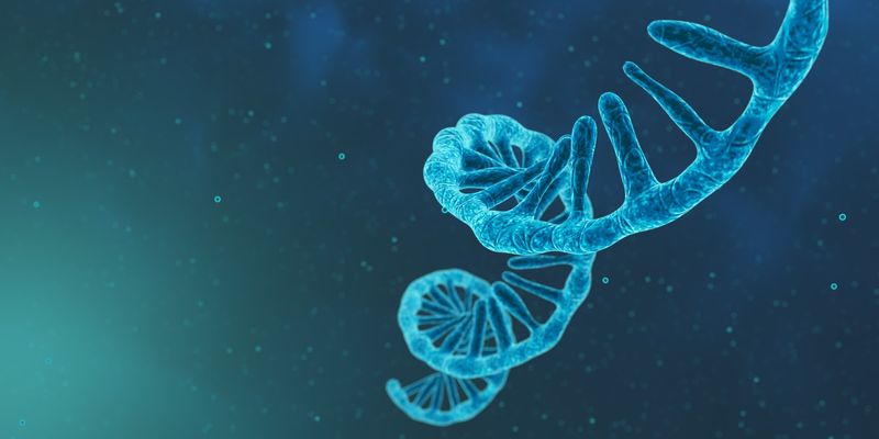 Scalable, Fast, and Flexible RNA Production with IVT | Lab Manager