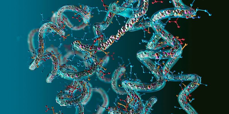 Expanding the ‘Genetic Alphabet’ to Create New Proteins | Lab Manager