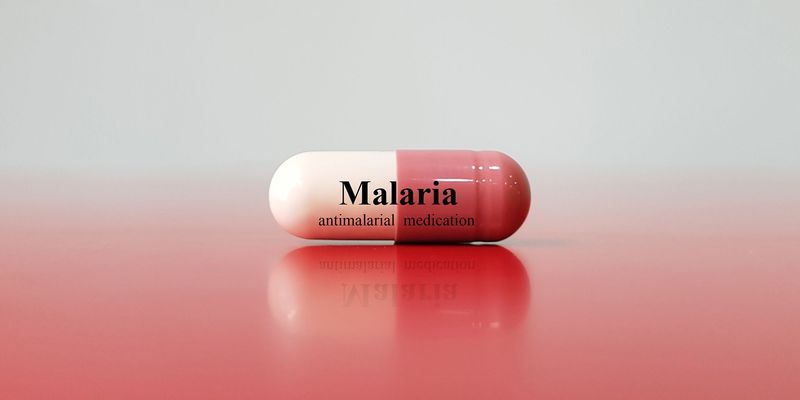 Scientists Design New Drug to Fight Malaria | Lab Manager