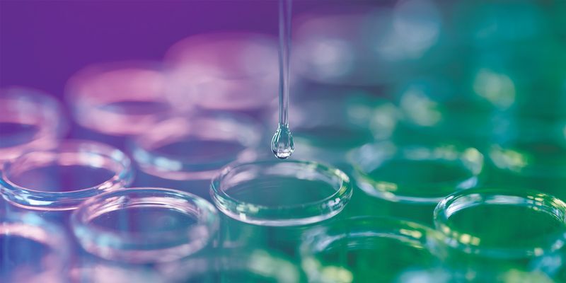 Risk Versus Reward: Navigating Cost and Quality in Assay Development ...