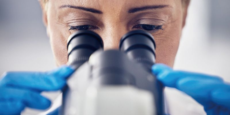 Making Measurements with a Microscope | Lab Manager