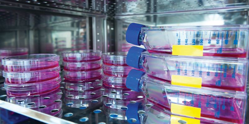 Overcoming Contamination and Environmental Instability with CO2 ...