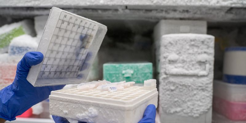 Preserving Sample Integrity in Cold Storage | Lab Manager