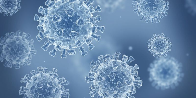 New Findings on Animal Viruses with Potential to Infect Humans | Lab ...