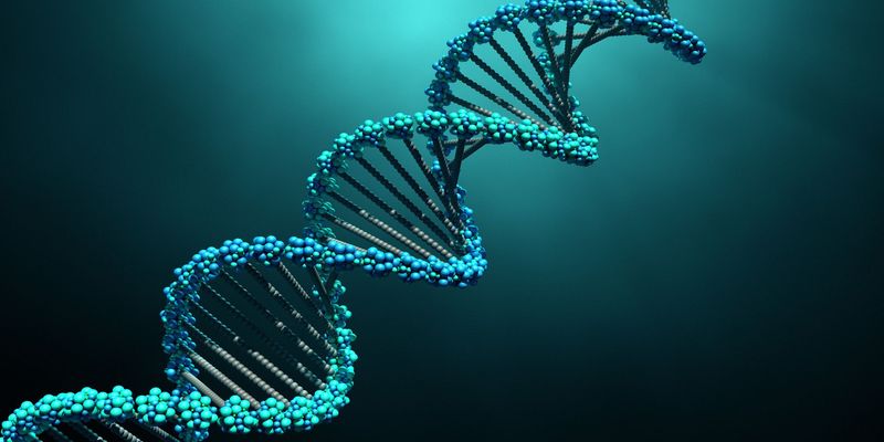 Scientists Use Ancient DNA to Shed Light on Adaptation of Early ...