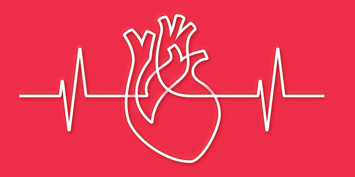 Brain Cells In Heart