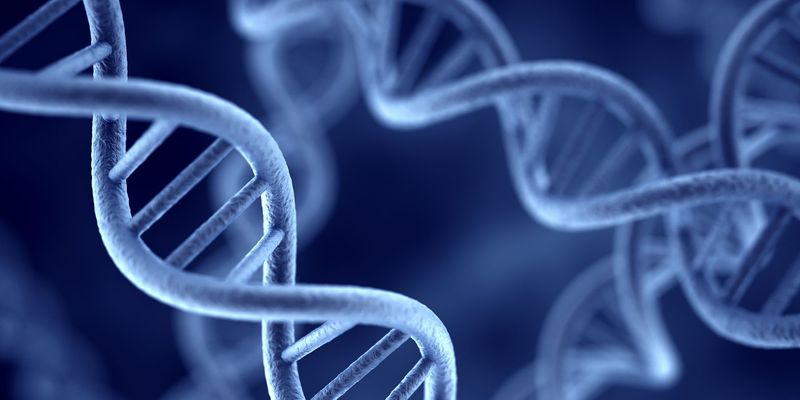 Oldest Modern Human Genomes Sequenced | Lab Manager