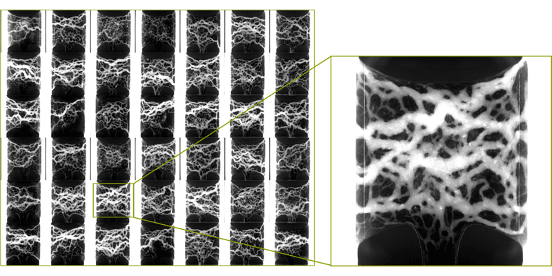 OrganoPlate UF: How MIMETAS Simplifies 3D Tissue Modeling | Lab Manager