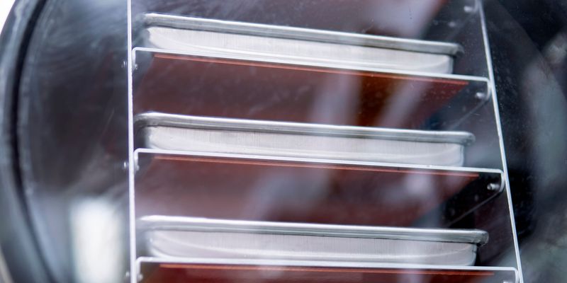 Optimizing Freeze-Drying for Laboratory Applications | Lab Manager