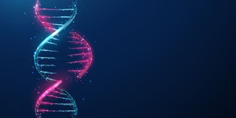 ‘Junk’ RNA Segments Play Role in Protein Production, Cell Stress ...