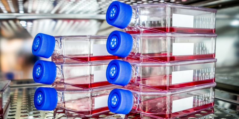 What to Look for in Cell Culture Vessels: Materials, Contamination ...