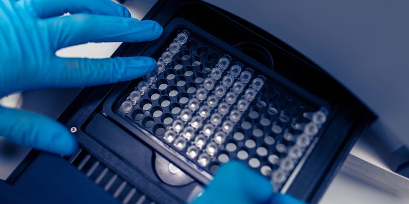 Optimizing PCR Workflows: 4 Strategies for Lab Managers | Lab Manager