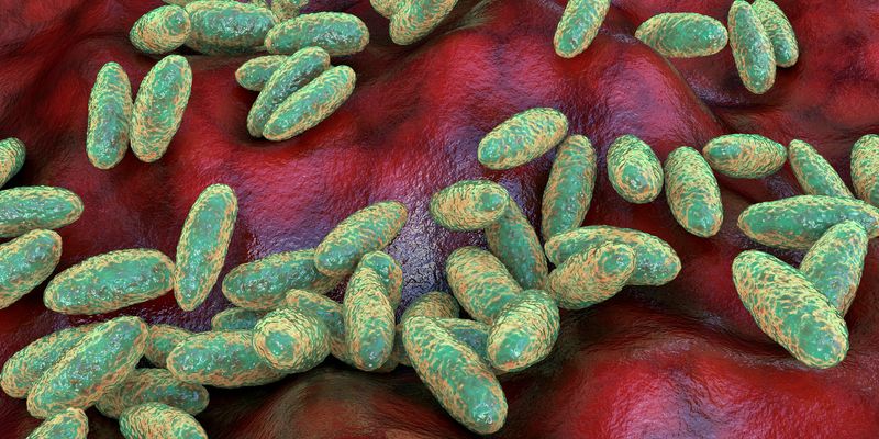 Understanding Collective Motion in Bacteria | Lab Manager