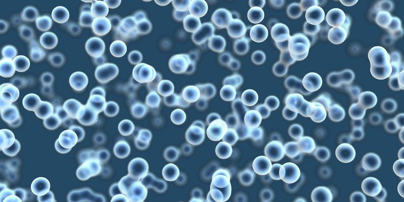 Touchlessly Moving Cells: Biotech Automation and an Acoustically ...