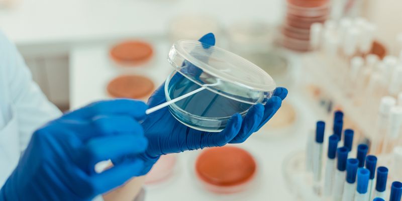 Laboratory Gloves Explained: Protection by Hazard Type | Lab Manager