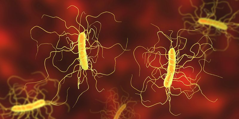 Electricity-Generating Bacteria May Power Future Innovations | Lab Manager