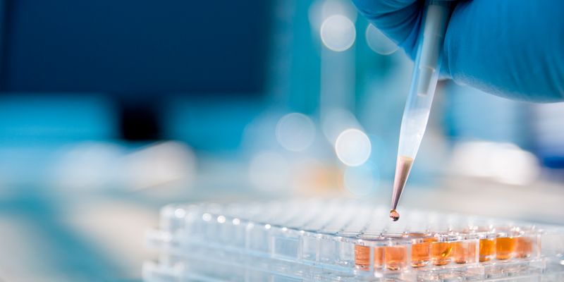 Understanding Pipettes: Essential Tools for Precision in the Laboratory ...