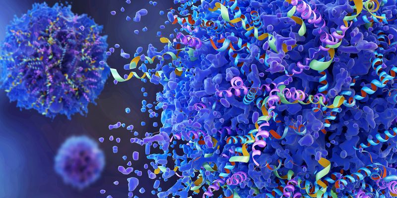 New AI Model Boltz-2 May Save Early-Stage Drug Discovery Labs ...