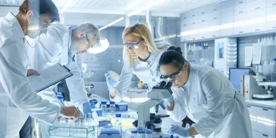 Scientists working in the lab