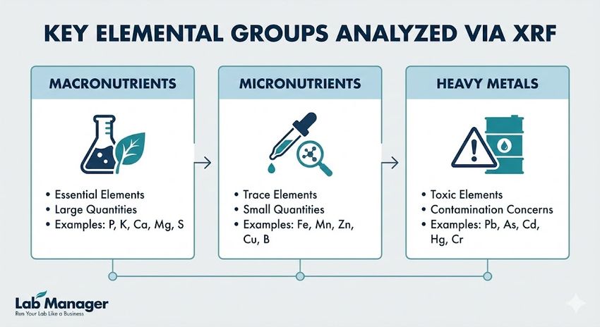 Utilizing XRF for Soil Nutrient and Mineral Analysis in Modern ...