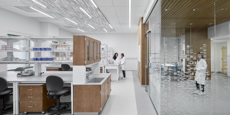 Low-Carbon Lab Renovations for Modern Research Spaces | Lab Manager
